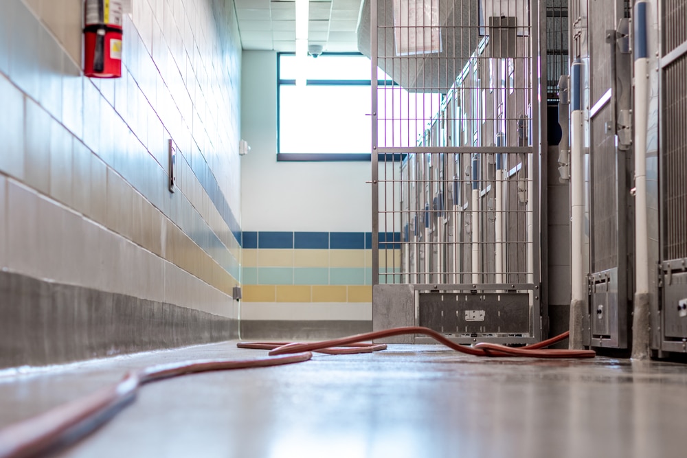 Boarding Kennel Legal Issues PDQ Funding Boarding Kennel Legal Issues PDQ Funding